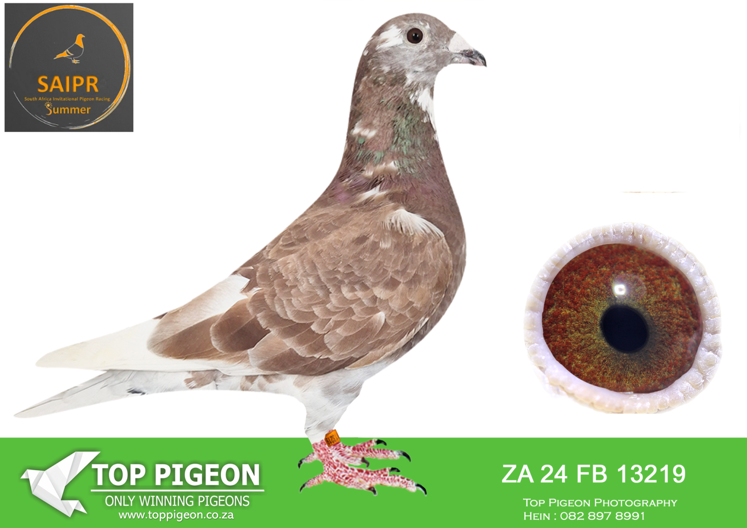 .LOT 1 MID MARCH- ZA FB 24 13219 -7TH HOTSPOT ACE BIRD , 7TH HOTSPOT 3 , 15TH HOTSPOT 4 SAIPR ...