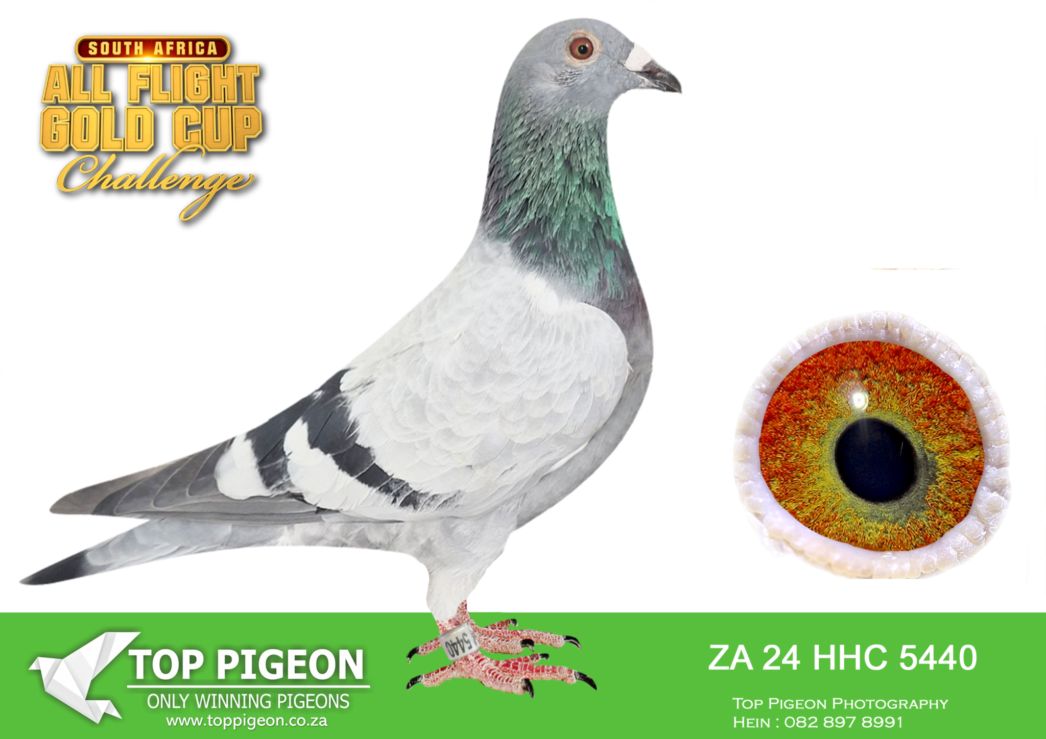 LOT 67 CARNIVAL SUMMER AUCTION 2 – Rob Heerman-ZA HHC 24 5440