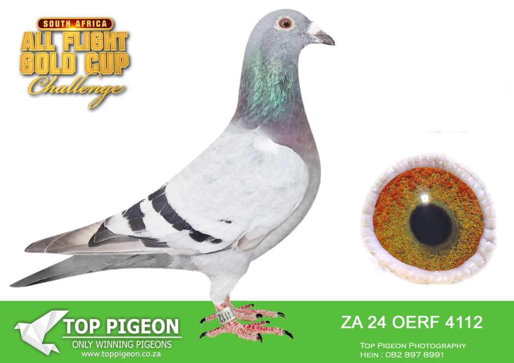 LOT 10 CARNIVAL SUMMER AUCTION 1-Andre & Juan-ZA OERF 24 4121 -1ST ACE ...