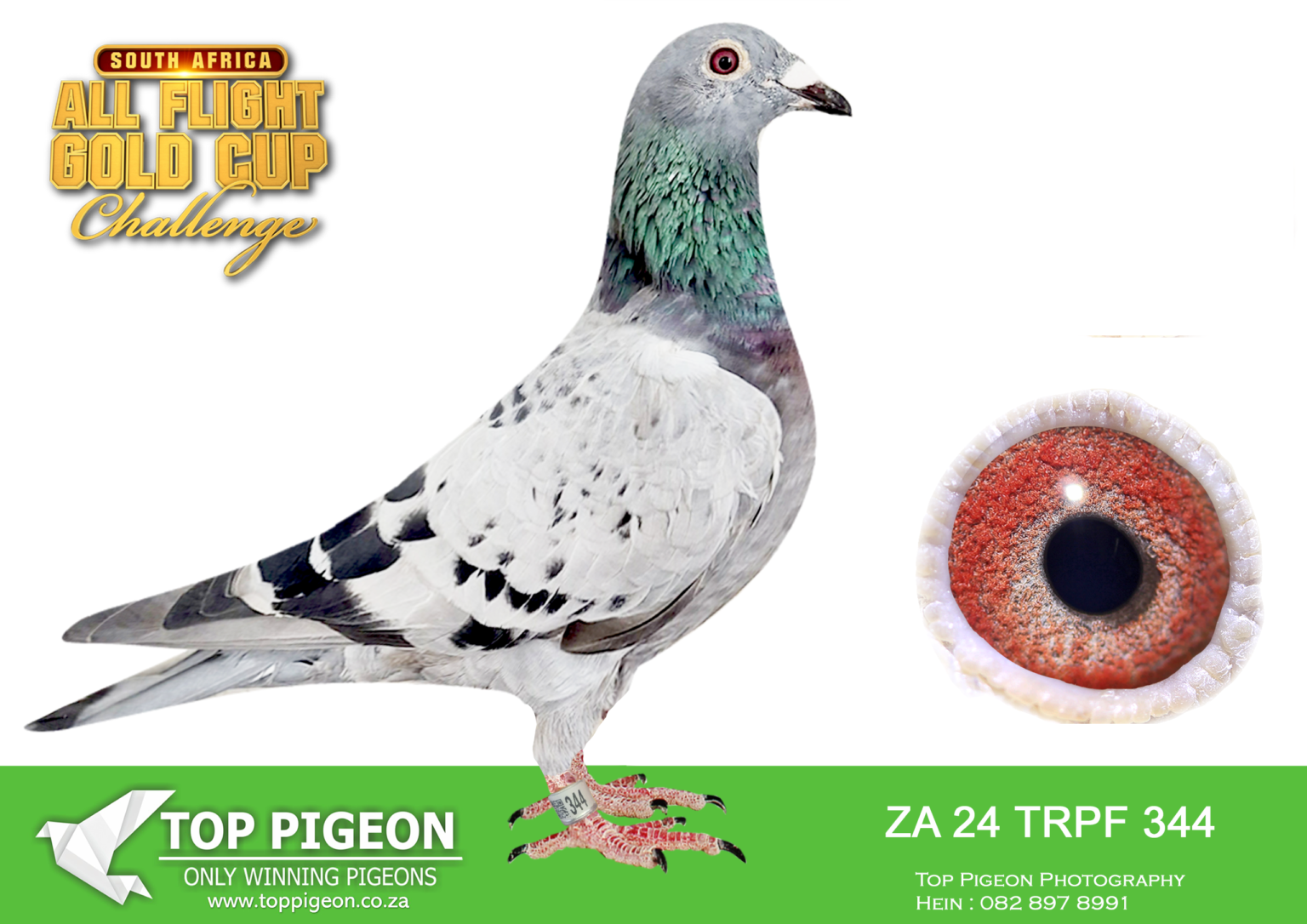 .LOT 1 CARNIVAL SUMMER AUCTION 1-Adendorff Tools-ZA TRPF 24 344 -2ND FINAL EQUAL WINNER —15TH ...