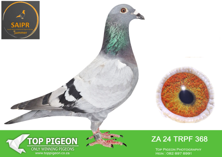 LOT 68 SAIPR SUMMER AUCTION 1 – Adendorff Machines 1- ZA TRPF 24 368 -10TH FINAL , 11TH HOTSPOT ...