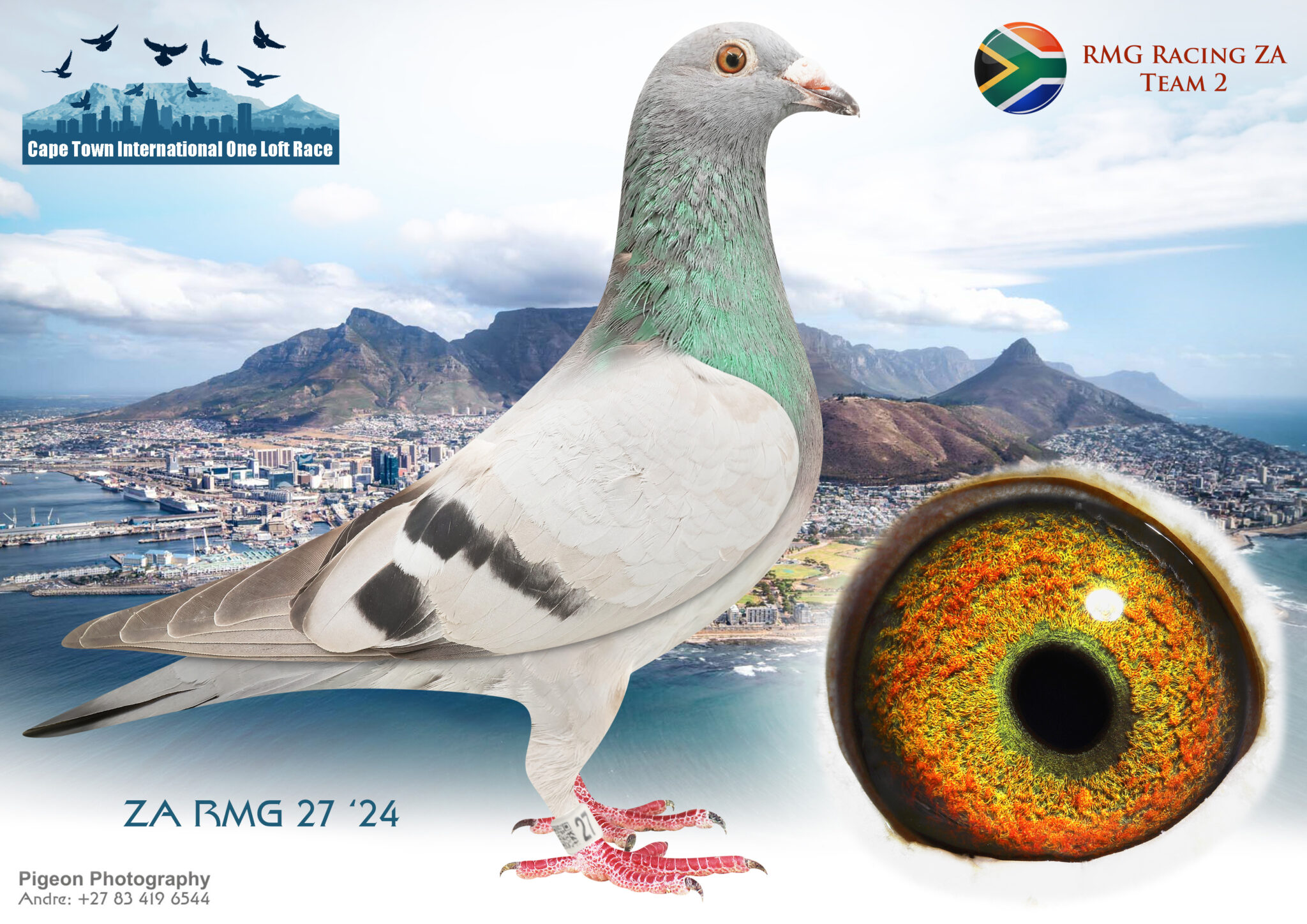 .LOT 6 CAPETOWN AUCTION 2 – RMG RACING – ZA 24 RMG 27 -SIRE:05138 V 621 15. LEO HEREMANS.SIRE ...