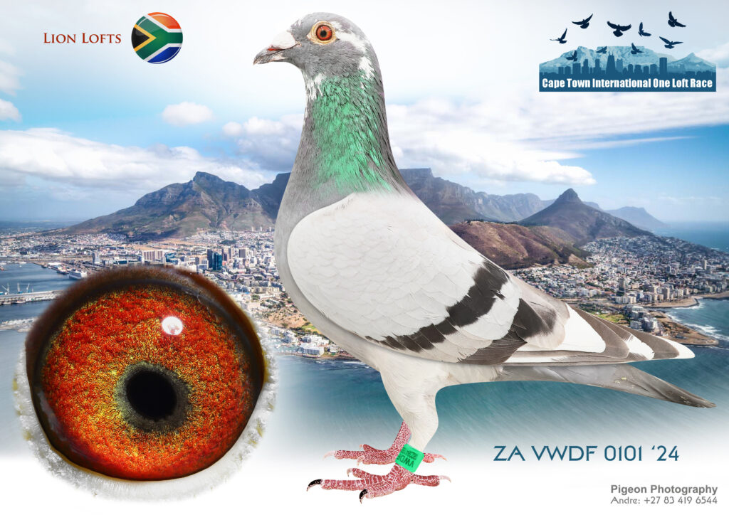 LOT 44 CAPETOWN AUCTION 2 -LION LOFTS – ZA 24 VWDF 0101 -HOTSPOT 1 WINNER