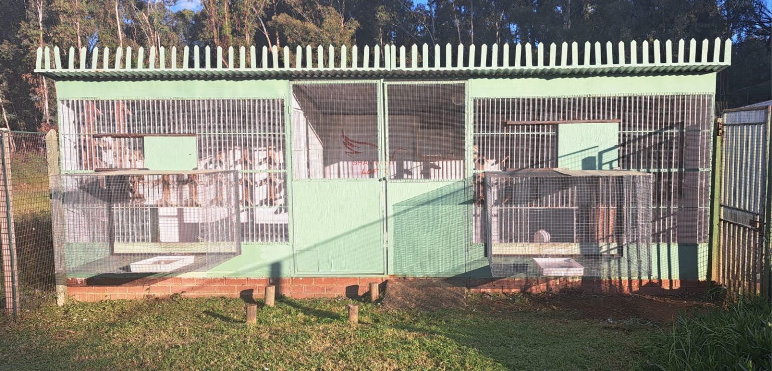 LOT 40 SHAMWARI LOFTS “ROB POLEY” – Two racing pigeon lofts. Total length of loft 6830. Height ...