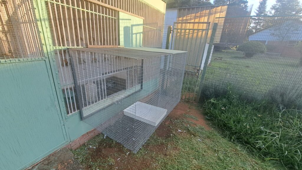 LOT 40 SHAMWARI LOFTS “ROB POLEY” – Two racing pigeon lofts. Total length of loft 6830. Height ...