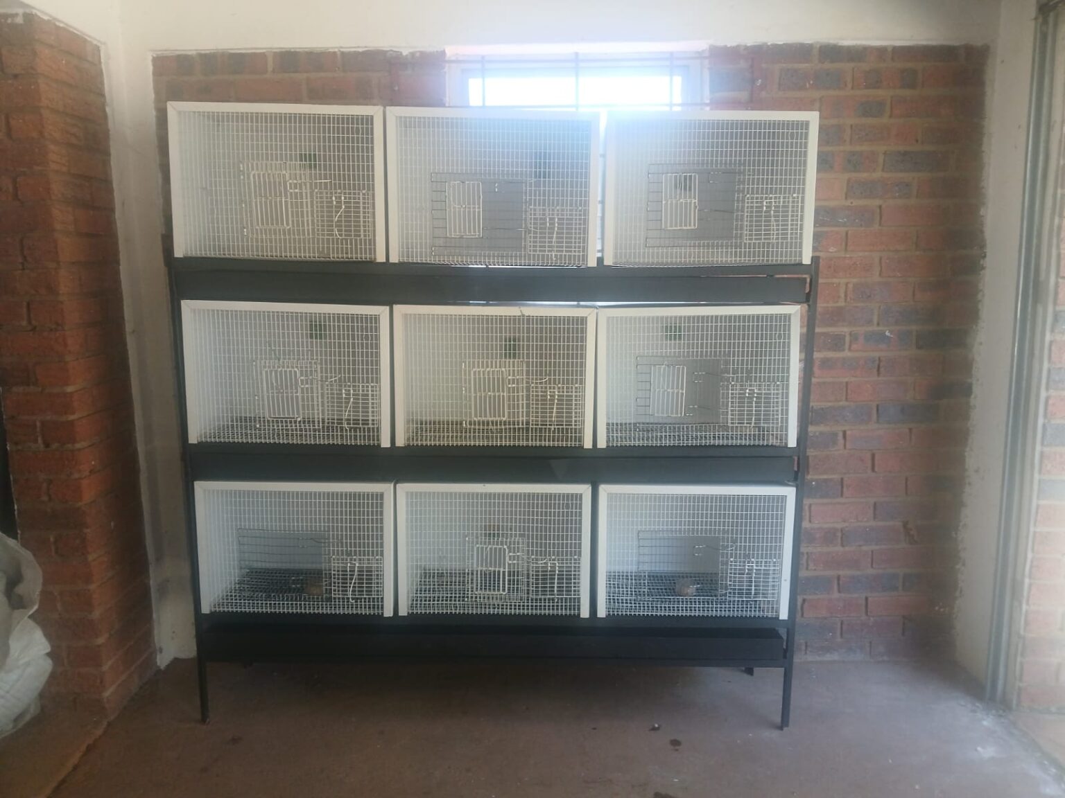 .LOT 1 Galvanized steel and powder coated cages – Cage sizes are 60L ...