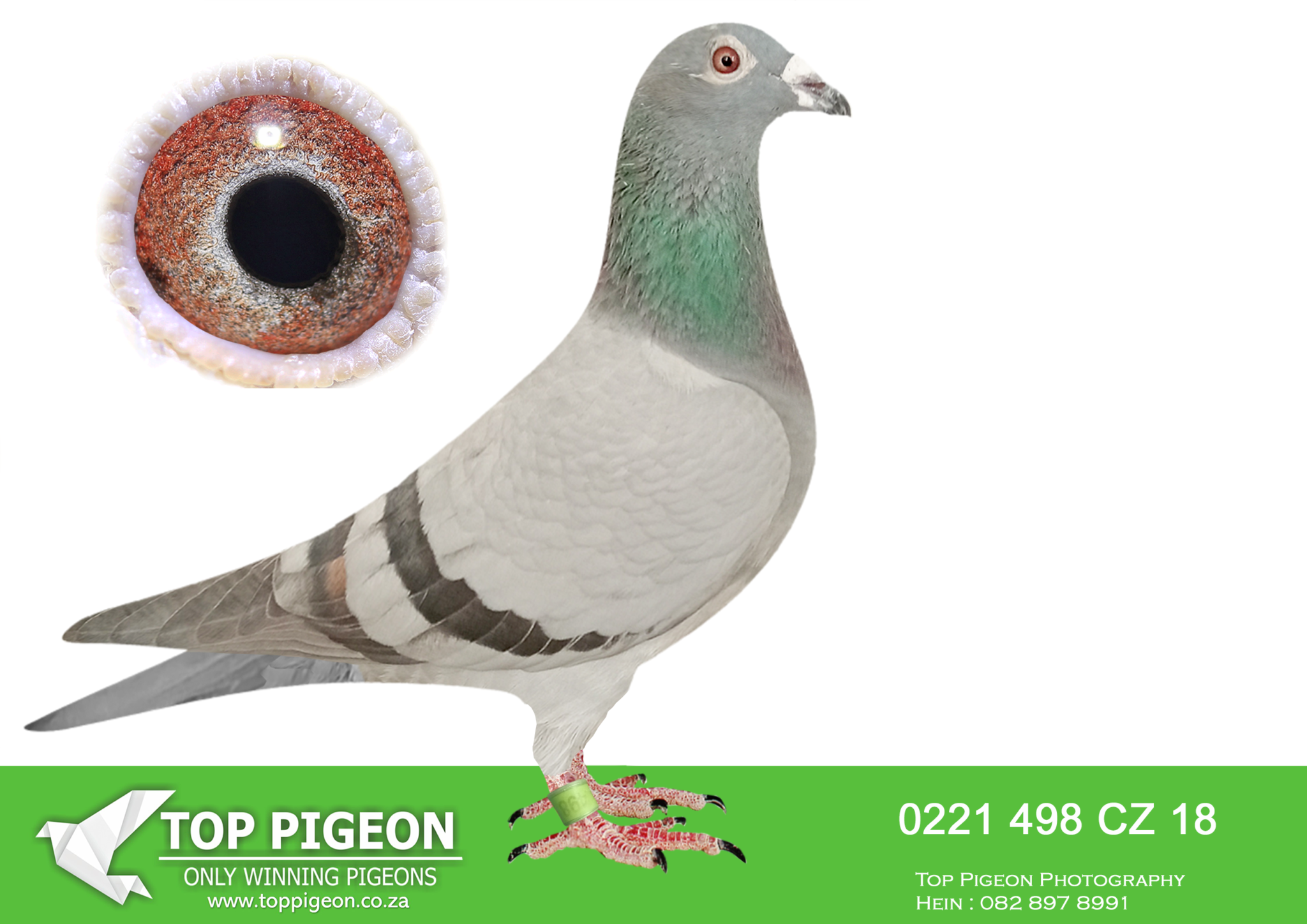 .LOT 1 MID AUGUST – CZ 0221 498 -DMITR (HEN) KLEMENS/VEENSTRA/LUDO ...