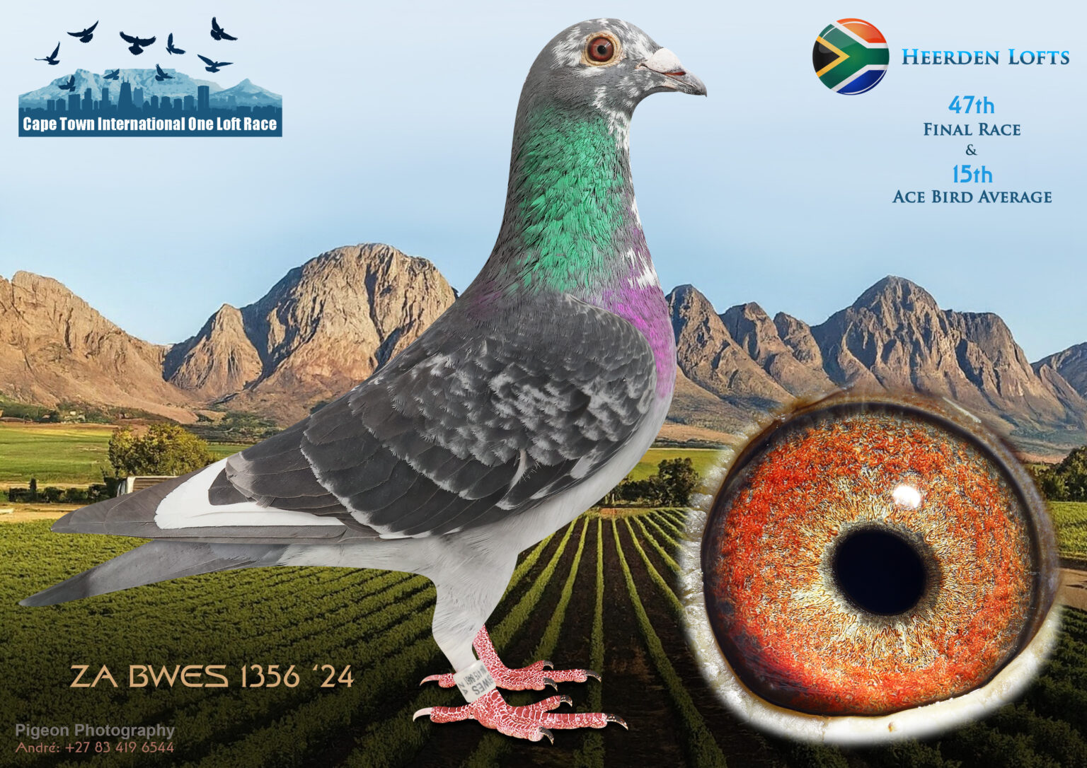 LOT 24 CAPE TOWN WINTER-Heerden Lofts-ZA-BWES-24-1356 -SIRE:2463 TRPF 19. SCHMIDT & BOUWER ...