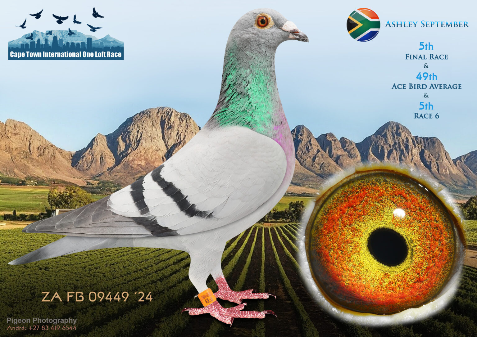 .LOT 4 CAPE TOWN WINTER-Ashley September-ZA-FB-24-09449 -5TH FINAL ...