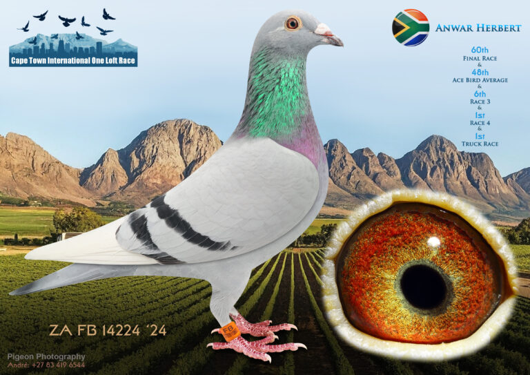 LOT 27 CAPE TOWN WINTER-Anwar Herbert-ZA-FB-24-14224 -RACE 4 TRUCK ...