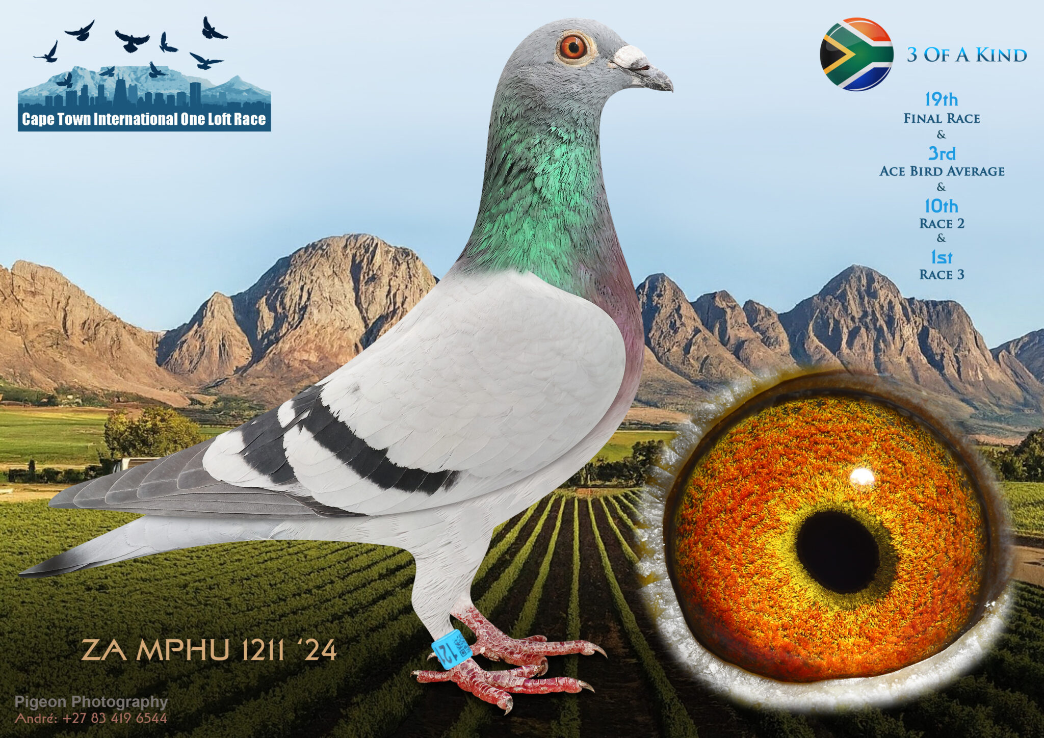 .LOT 9 CAPE TOWN WINTER-3 Of A Kind-ZA-MPHU-24-1211 -1st Race 3, 16th Truck 7000 birds , 3RD ACE ...