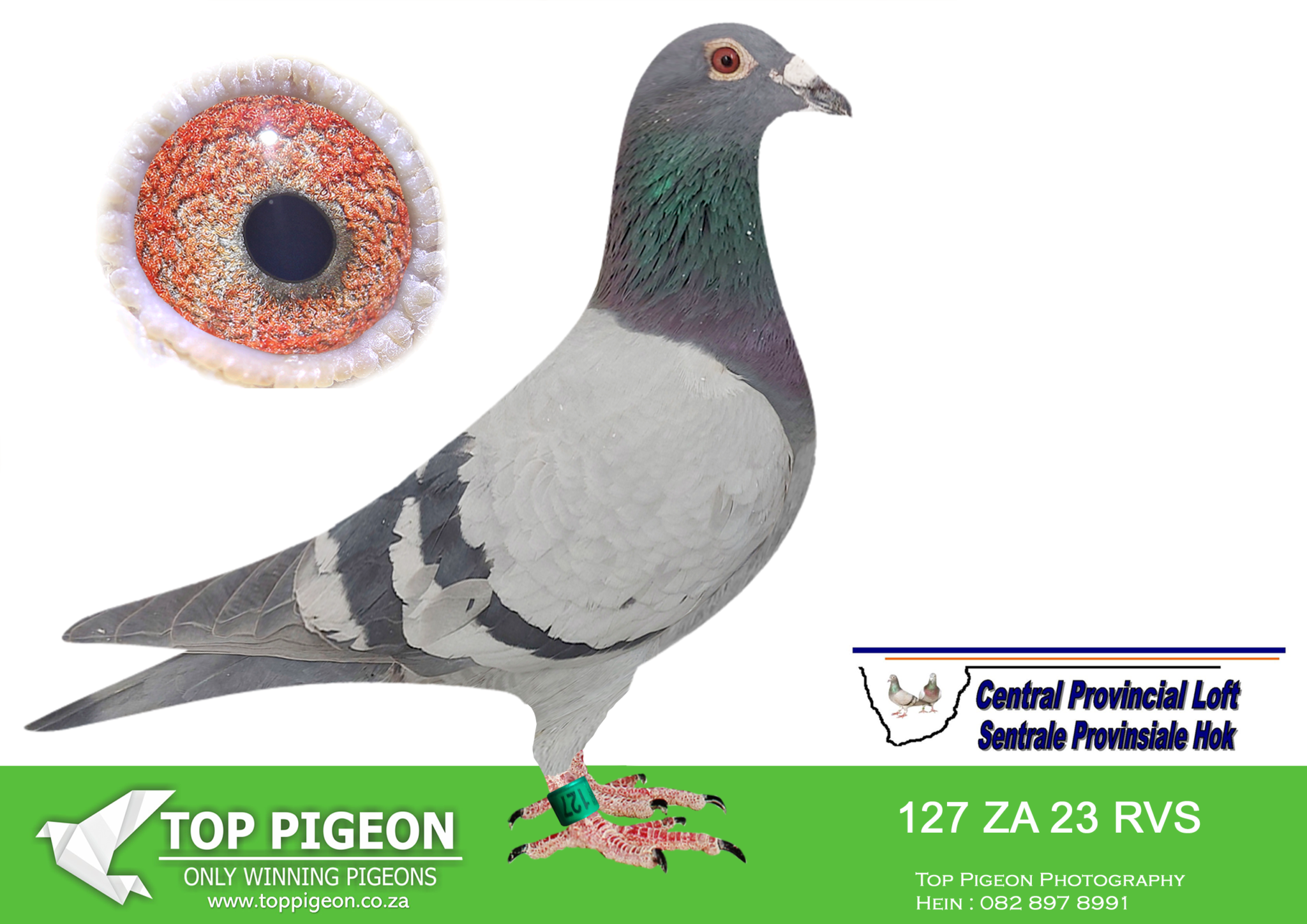 LOT 27 CENTRAL LOFTS – FOR SALE – BENN, CHARLES-RVS 127 2023 -SIRE:SA ...