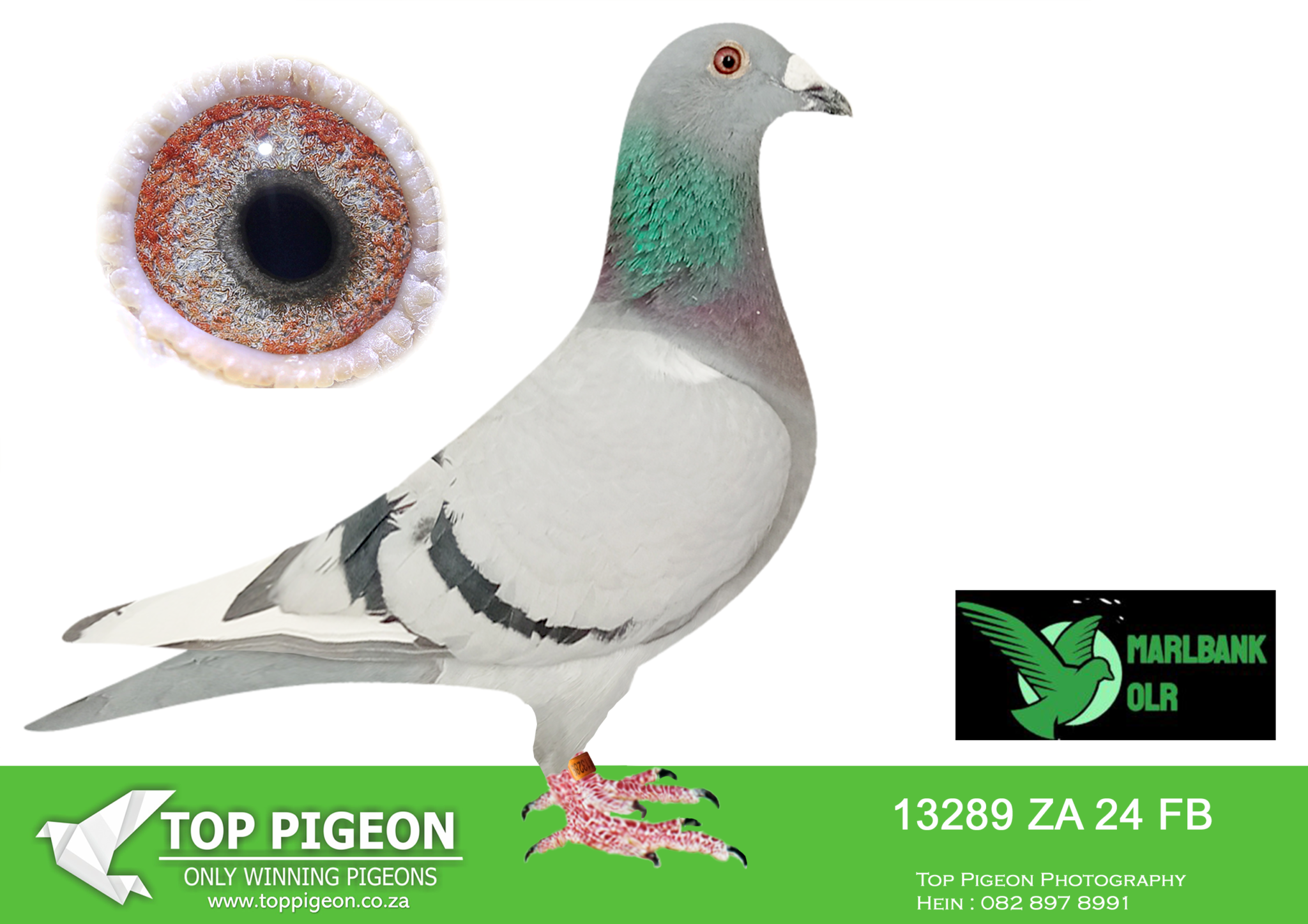 LOT 12 MARLBANK OLR – WIEHANN VERMEULEN T2-ZA-24-FB-13289 -18TH ACE ...