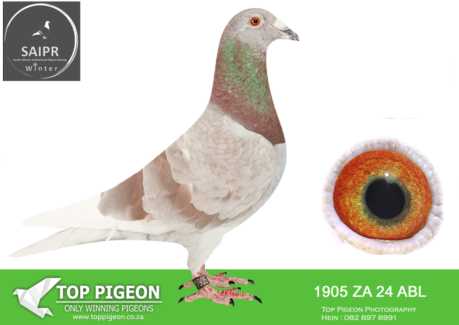 LOT 70 SAIPR AUCTION 2 – Alwyn Bester-za cru 24 1905*** · Mia -1905 is ...