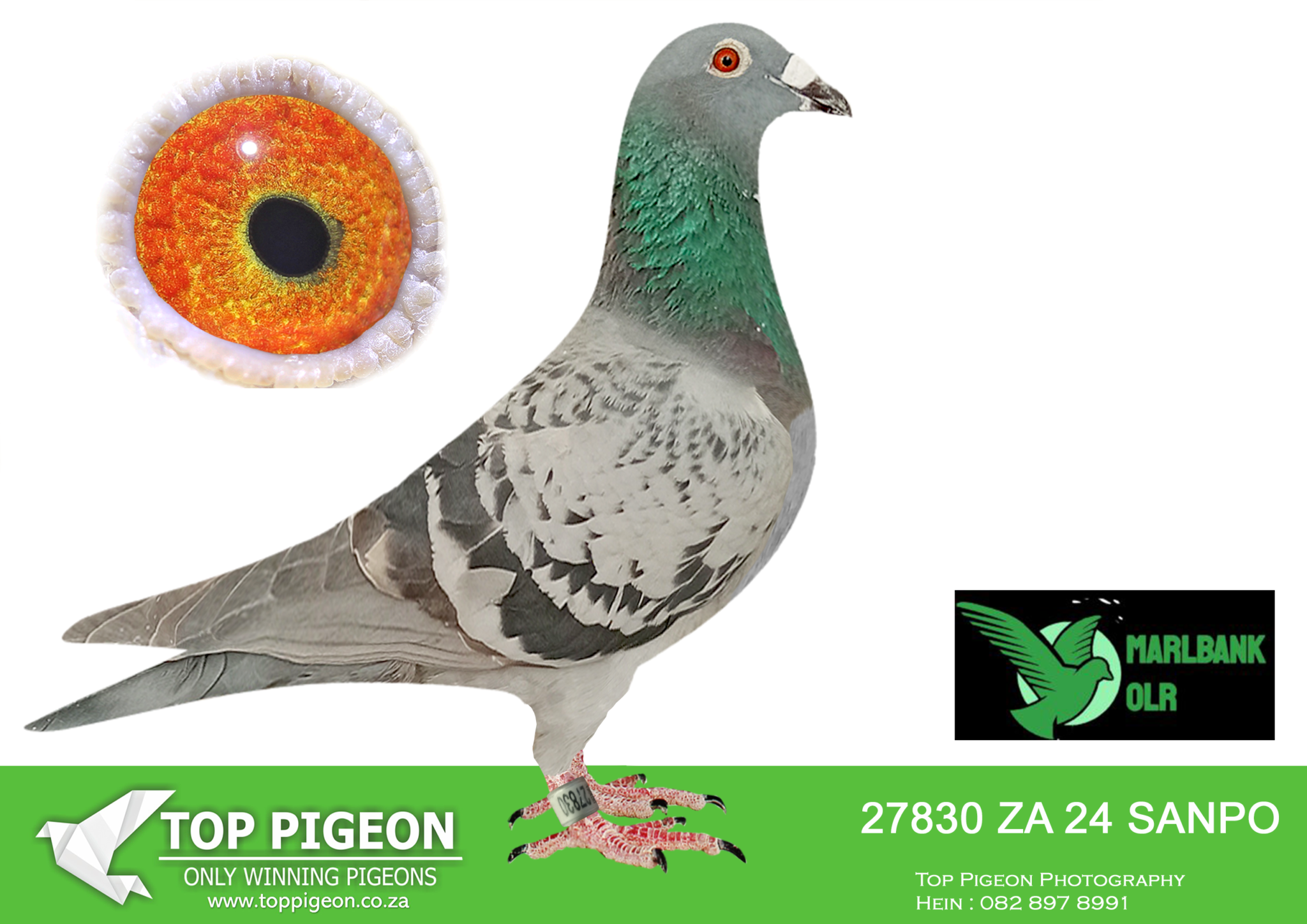 Z..LOT 107 MARLBANK OLR – ANDRE GREYLING T1-ZA-24-SANPO-27830