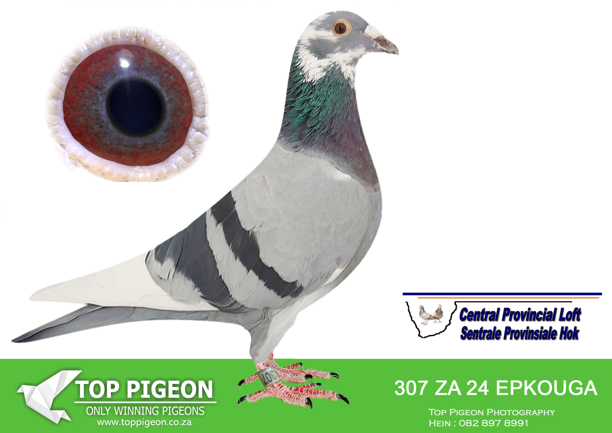 LOT 79 CENTRAL LOFTS – JVR HOKKE-EPKOUGA 307 2024 -2025 Yearlings 3rd Race 6 R5,000; 14th PA ...