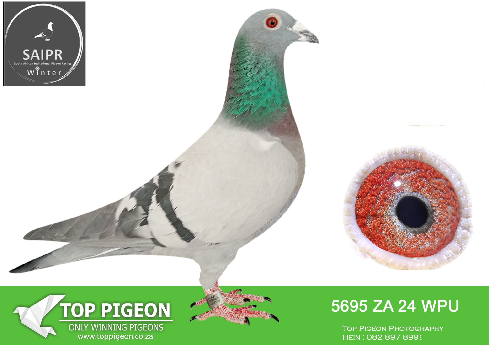 LOT 10 SAIPR AUCTION 2 – Marnes Nel-za wpu 24 5695*** -19th Grand averages Saipr 2025. Nestmate ...