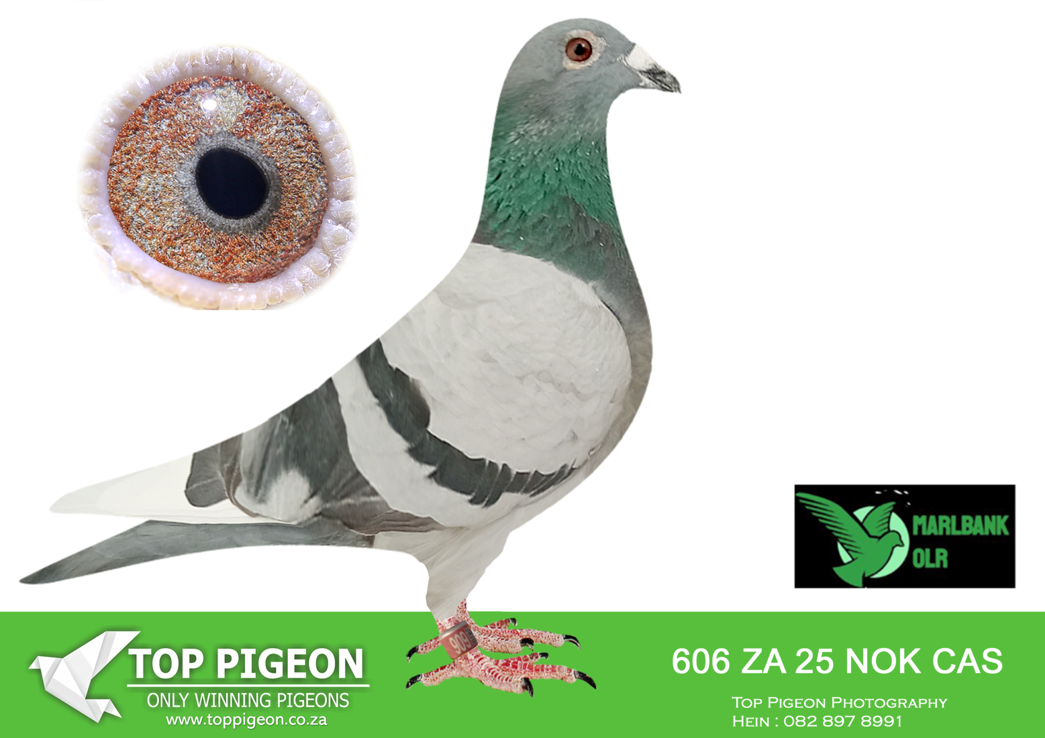 LOT 87 MARLBANK OLR – TELLA-ZA-25-CAS-606 -SIRE:23 23. SIRE IS DIRECT ...