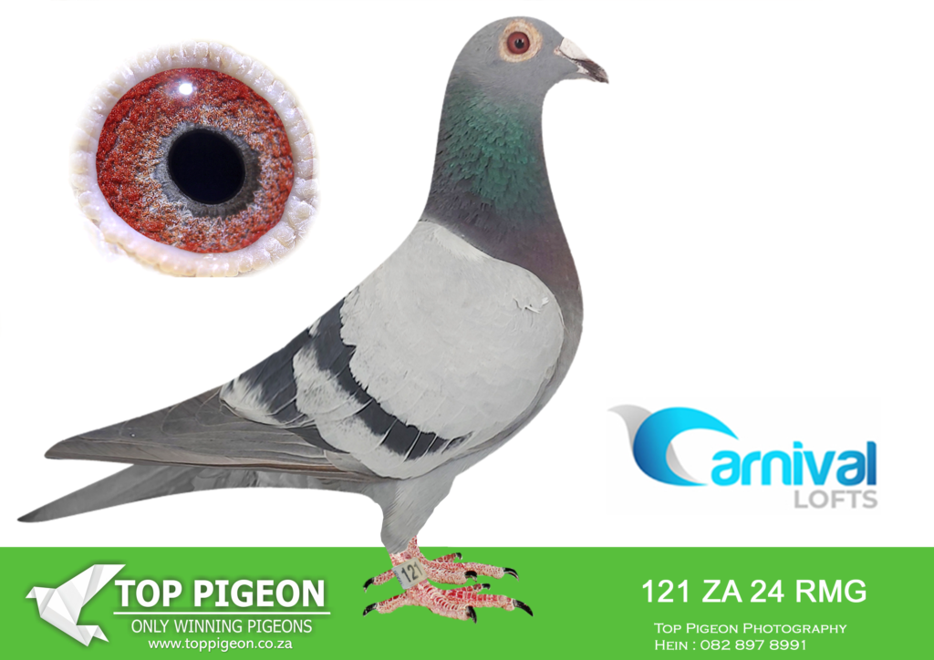 LOT 62 CARNIVAL LOFTS OLR-RMG Racing-RMG 24 121