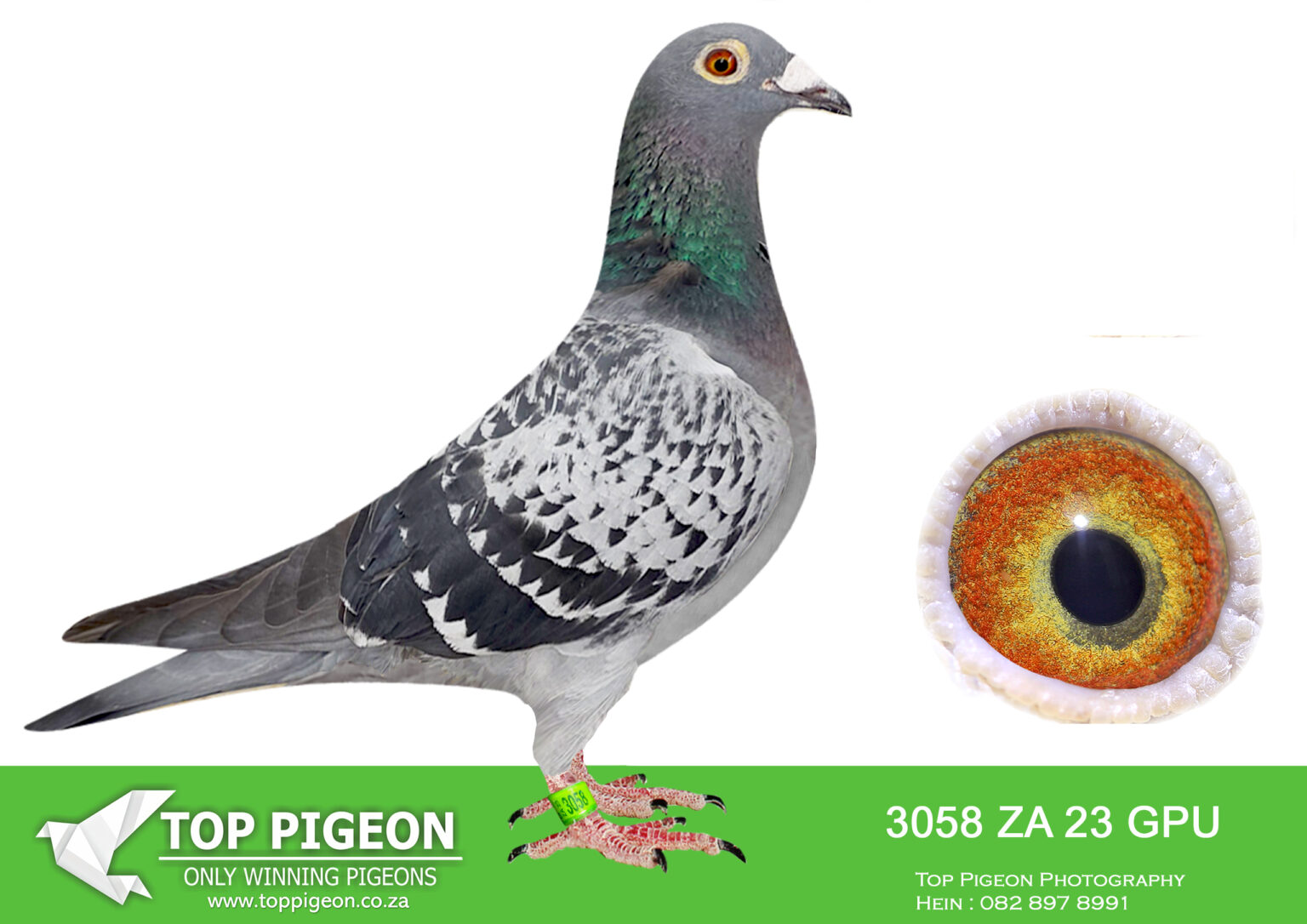 .LOT 3 DANIE SCHOLTZ / JACO FAUL -ZA 23 GPU 3058