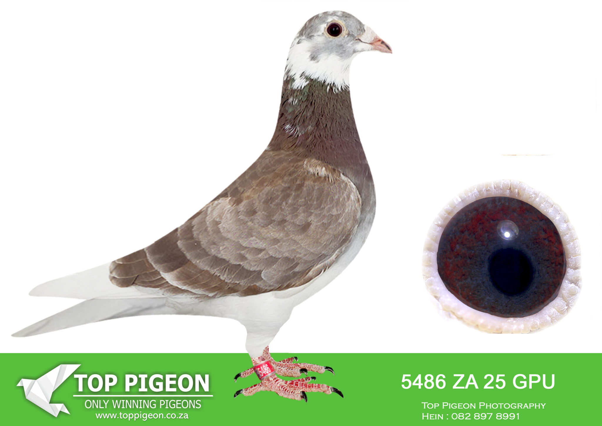 LOT 10 DANIE SCHOLTZ / JACO FAUL – ZA 25 GPU 5486