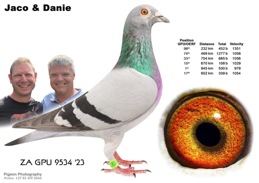 LOT 19 DANIE SCHOLTZ / JACO FAUL -2348 ZA 23 GPU