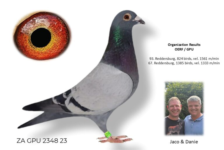 LOT 19 DANIE SCHOLTZ / JACO FAUL -2348 ZA 23 GPU