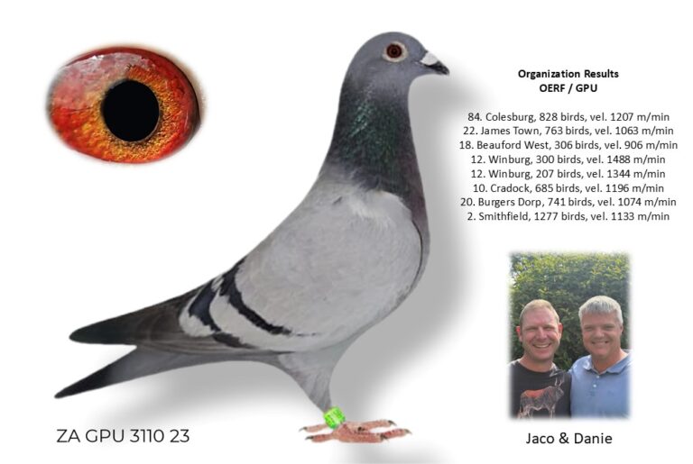 LOT 20 DANIE SCHOLTZ / JACO FAUL -9173 ZA 24 GPU