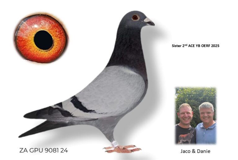 .LOT 5 DANIE SCHOLTZ / JACO FAUL – 9081 ZA 24 GPU