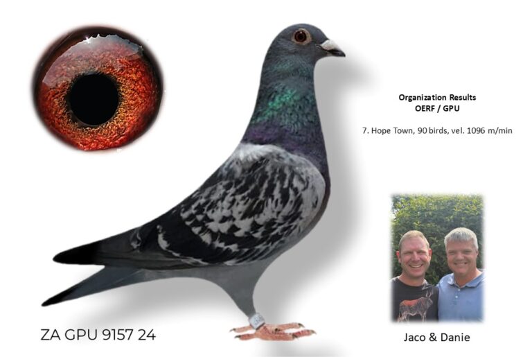 LOT 26 DANIE SCHOLTZ / JACO FAUL -9502 ZA 23 GPU