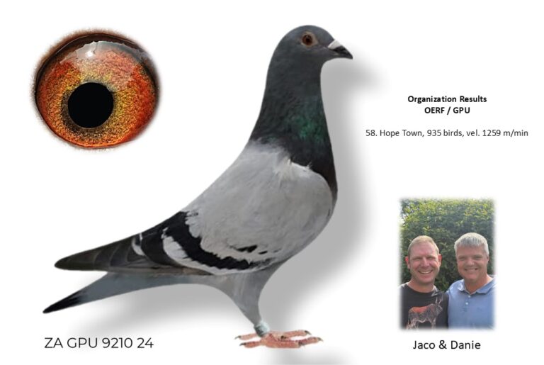 LOT 13 DANIE SCHOLTZ / JACO FAUL -9226 ZA 24 GPU