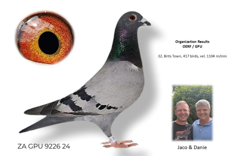 LOT 13 DANIE SCHOLTZ / JACO FAUL -9226 ZA 24 GPU