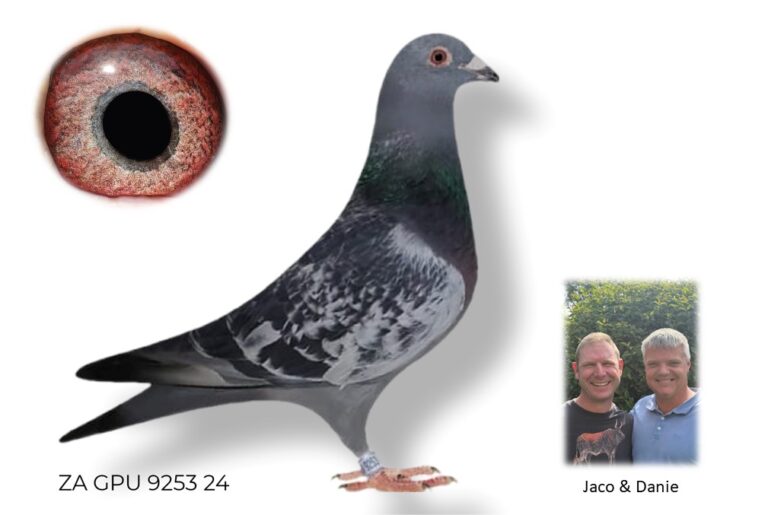 LOT 17 DANIE SCHOLTZ / JACO FAUL -9253 ZA 224 GPU