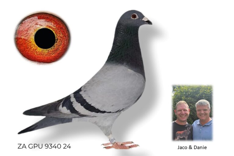 LOT 15 DANIE SCHOLTZ / JACO FAUL -9449 ZA 24 GPU