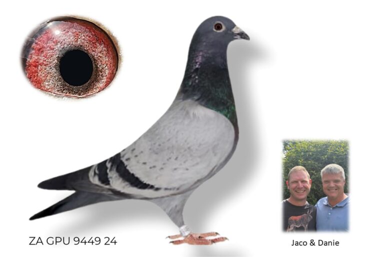 LOT 15 DANIE SCHOLTZ / JACO FAUL -9449 ZA 24 GPU