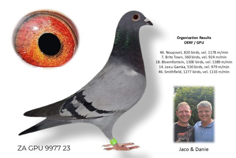 LOT 35 DANIE SCHOLTZ / JACO FAUL -9977 ZA 23 GPU