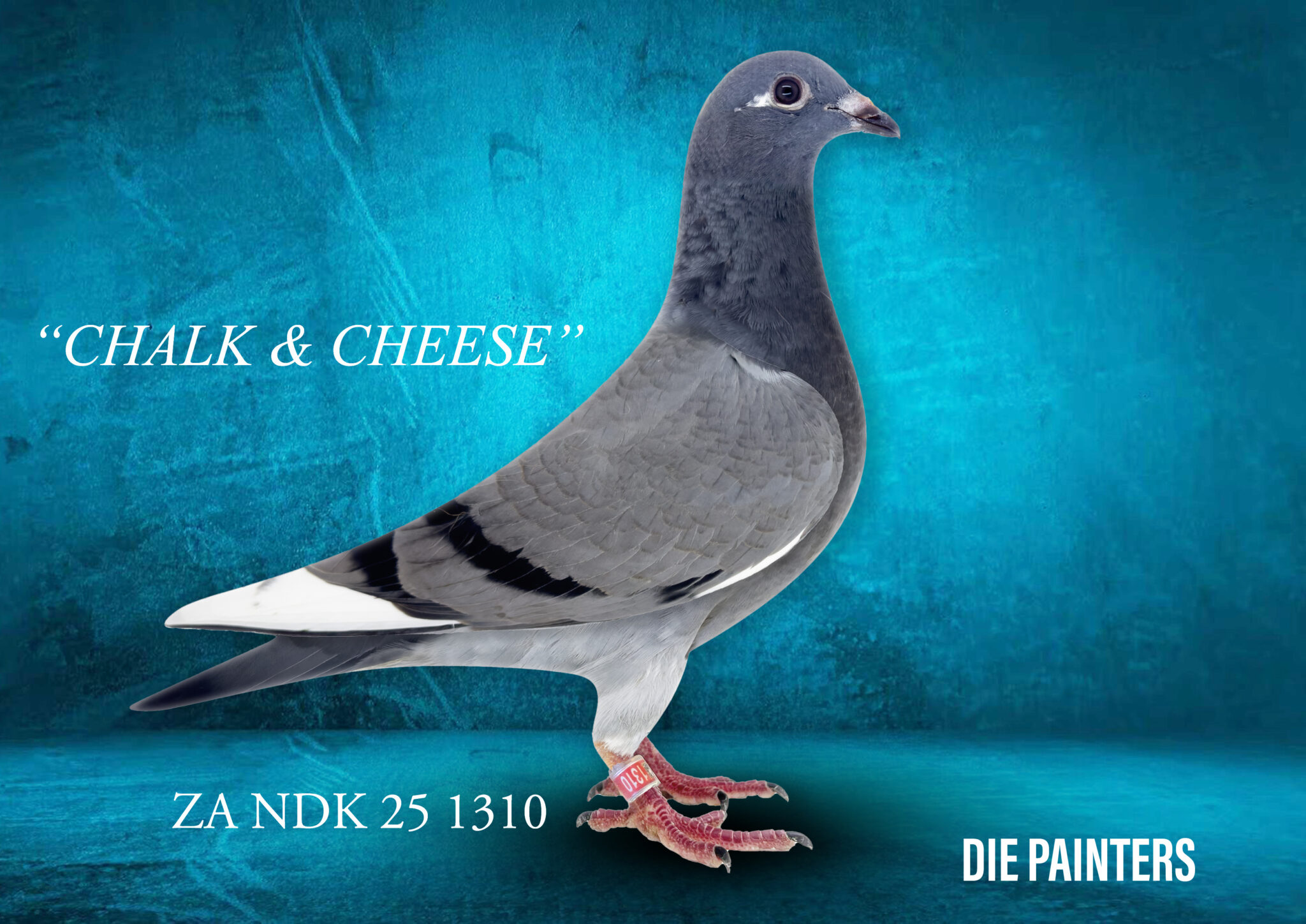 .LOT 8 DIE PAINTERS – ZA 25 NDK 1310 – Topclass baby out of a direct ...
