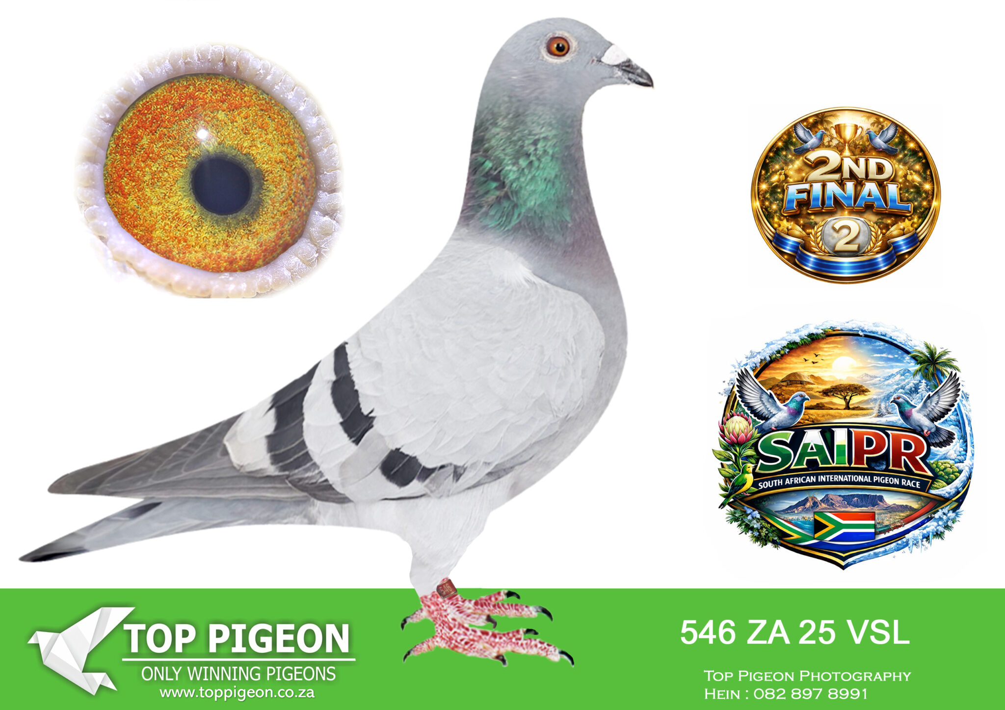 LOT 15 SAIPR SUMMER AUCTION 1 – Cannistaro 2- VSL 546 2025 -2ND FINAL ...
