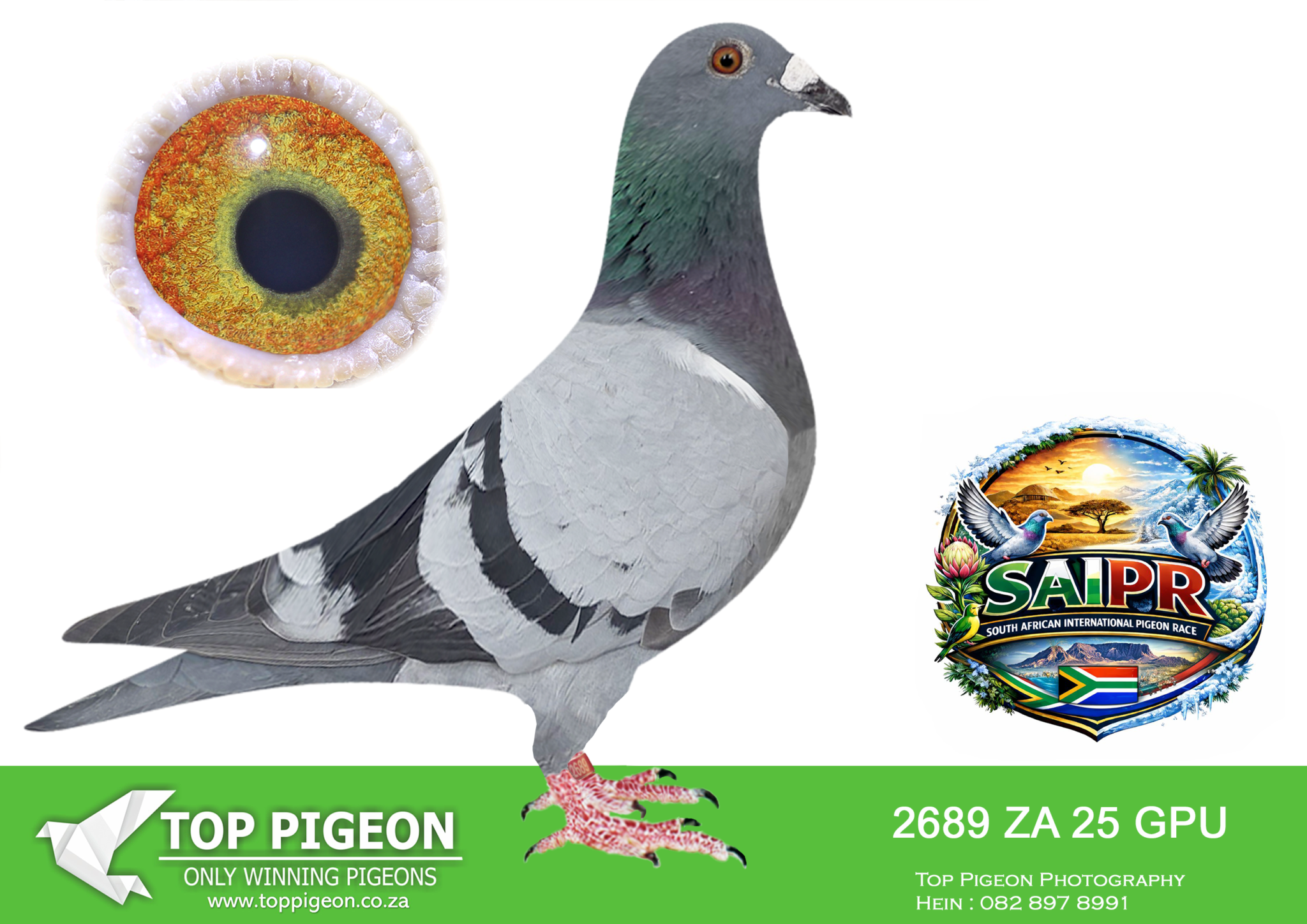 .LOT 6 SAIPR SUMMER AUCTION 1 – TNT Elite Centre 1- GPU 2689 2025 ...