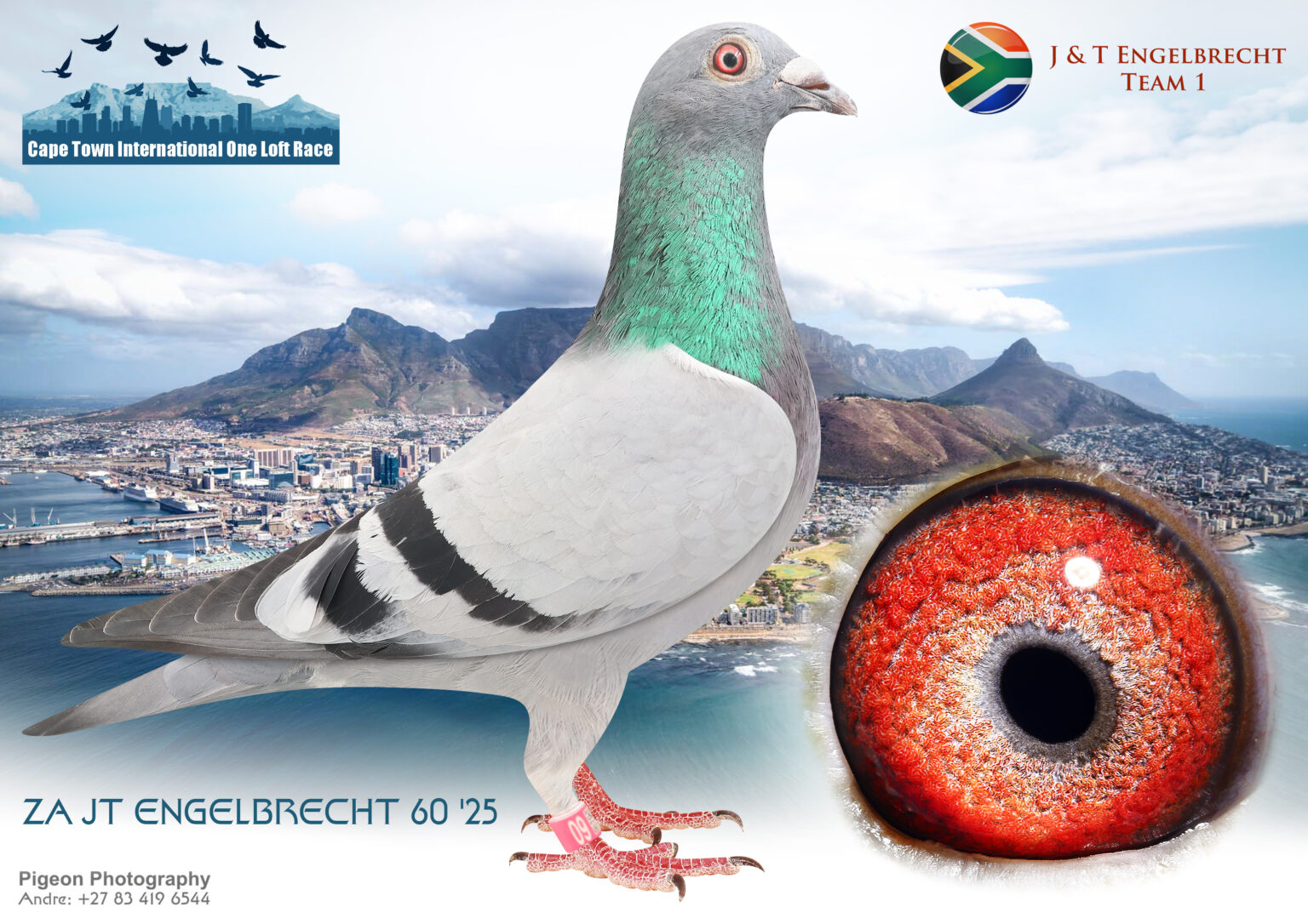 LOT 55 CAPETOWN LOFTS – J & T Engelbrecht Team 1-ZA-JT ENGELBRECHT-25 ...
