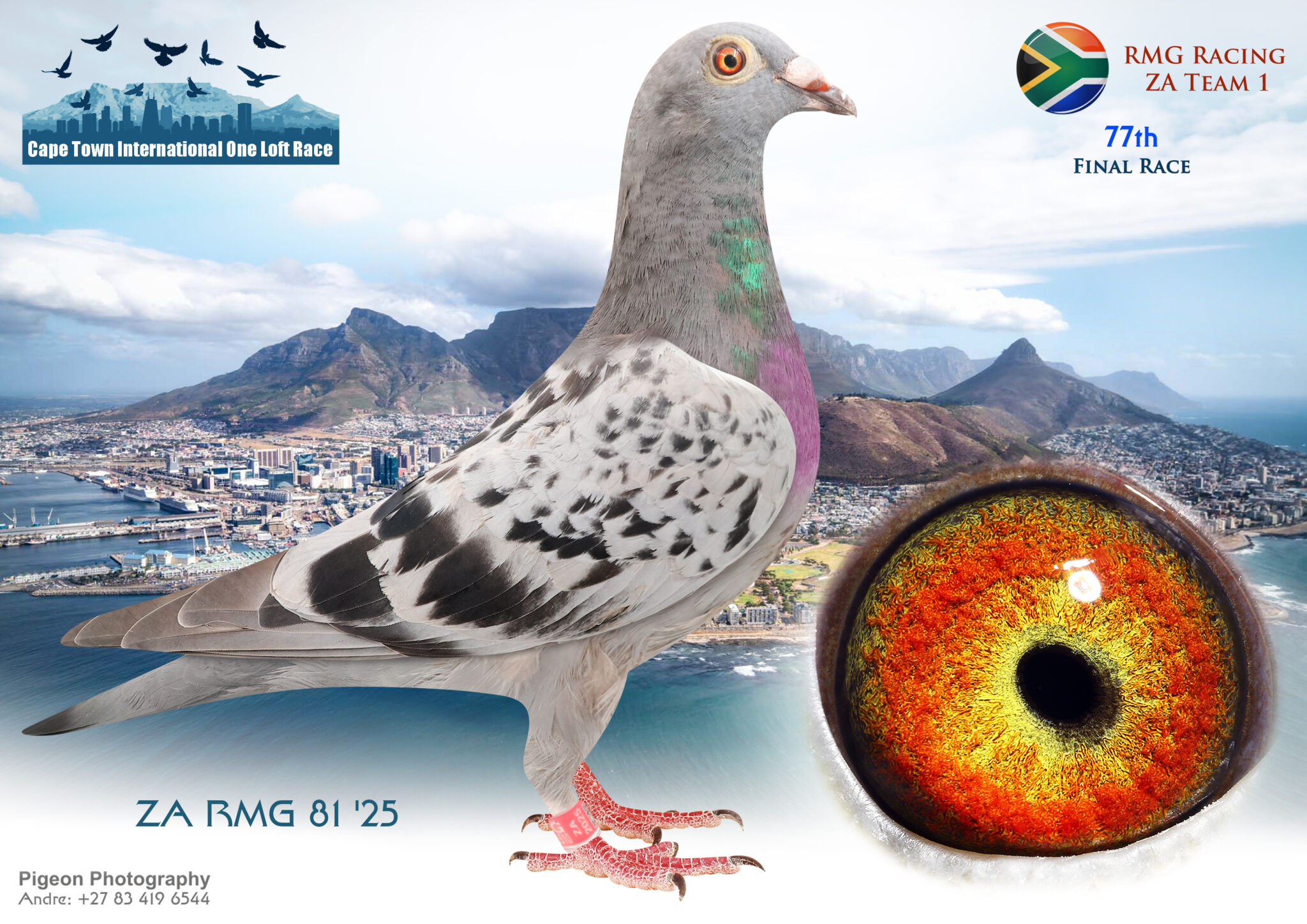 LOT 46 CAPETOWN LOFTS – RMG Racing ZA Team 1-ZA-RMG-25-81*** -SIRE ...