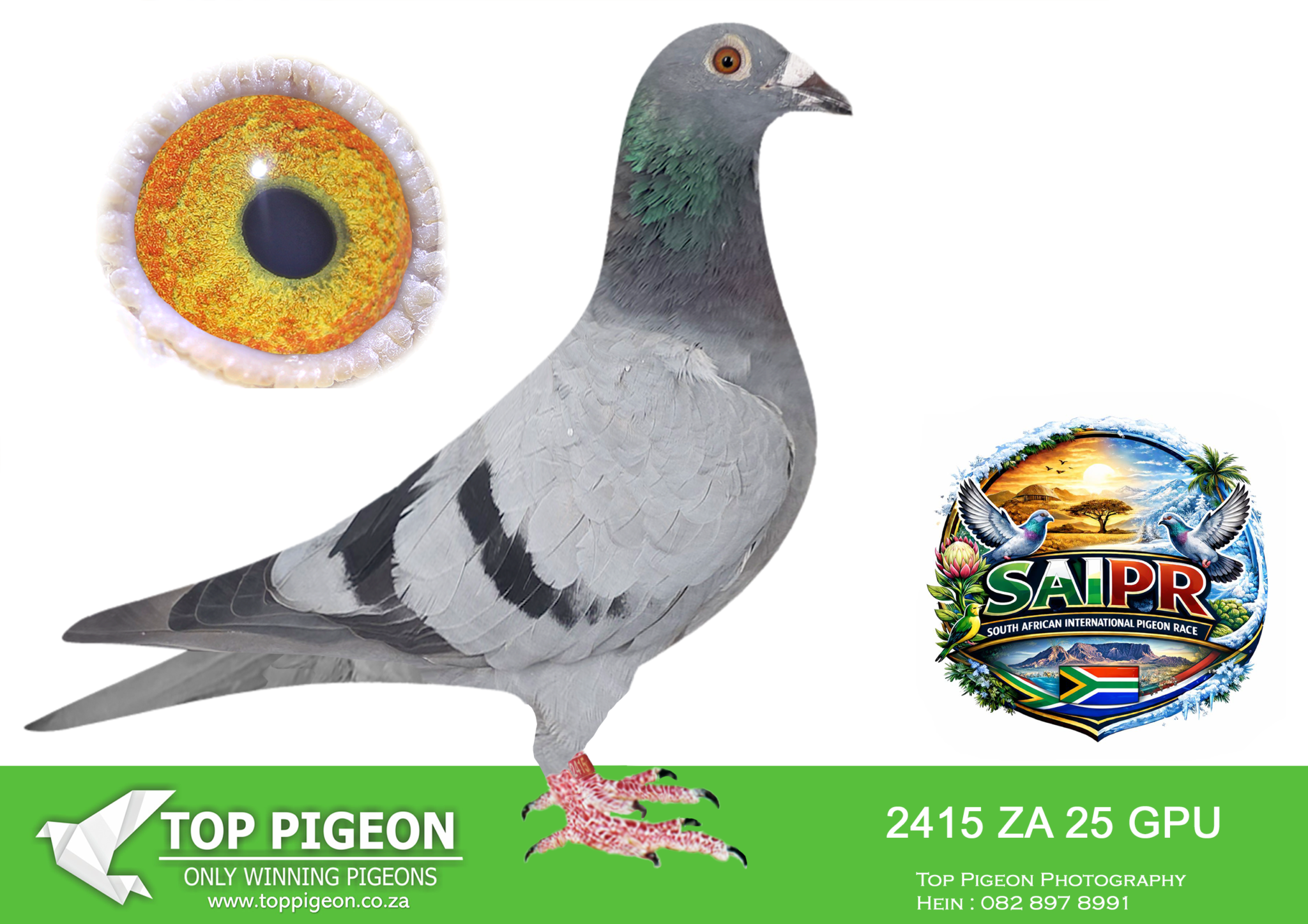 LOT 18 SAIPR SUMMER AUCTION 3 – Pat Manuel/Joe Gomes-GPU 2415 2025 ...