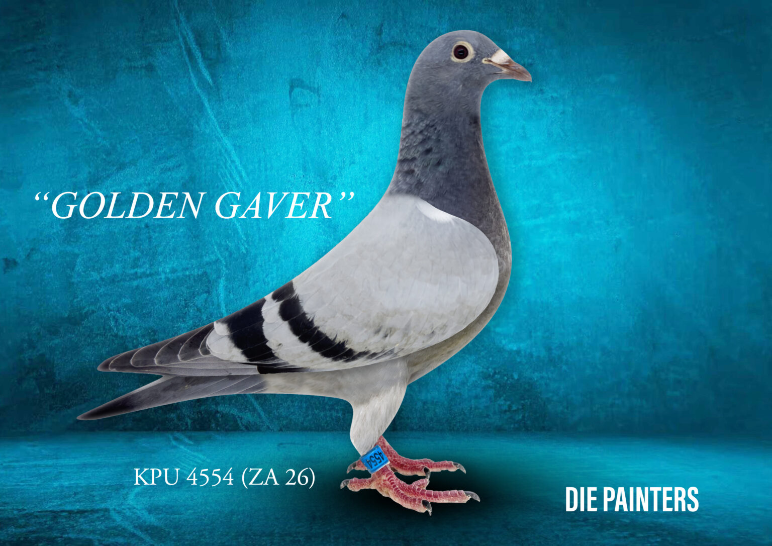.LOT 1 DIE PAINTERS – ZA 26 KPU 4554 – “GOLDEN GAVER” Bb Cock Painter ...
