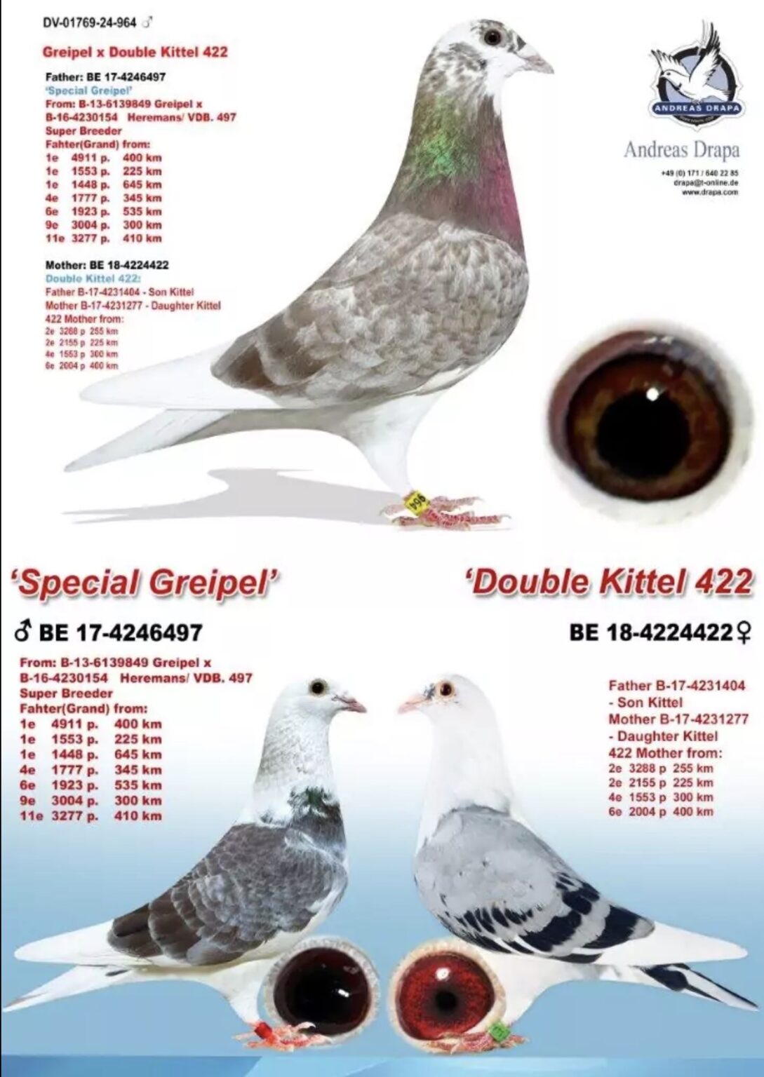 .LOT 6 MIKE ENGELBRECHT – ZA 25 ME BULLCAT 248 -SIRE:01769 24 964 ...