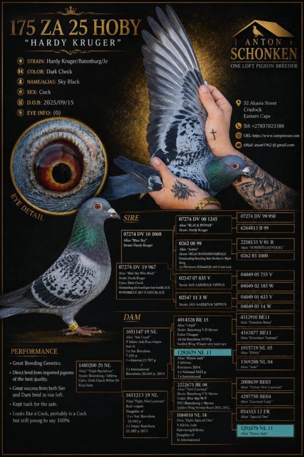 UPCOMING AUCTION – SCHONKEN PIGEONS – FROM 18 JUNE TO SUNDAY 21 JUNE ...